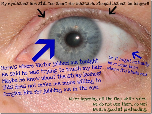 stuff jen says: Jul. 17: This eye hair is all kinds of wrong